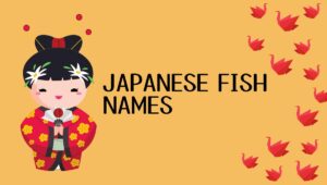 A Guide to Unique Japanese Fish Names - japanesenames.org